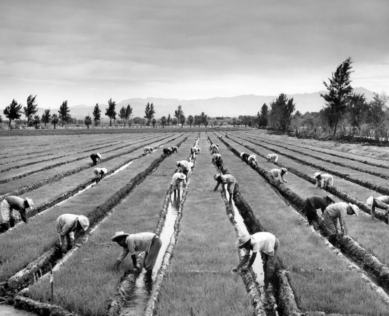 Rockefeller Philanthropy and Population-Related Fields - REsource